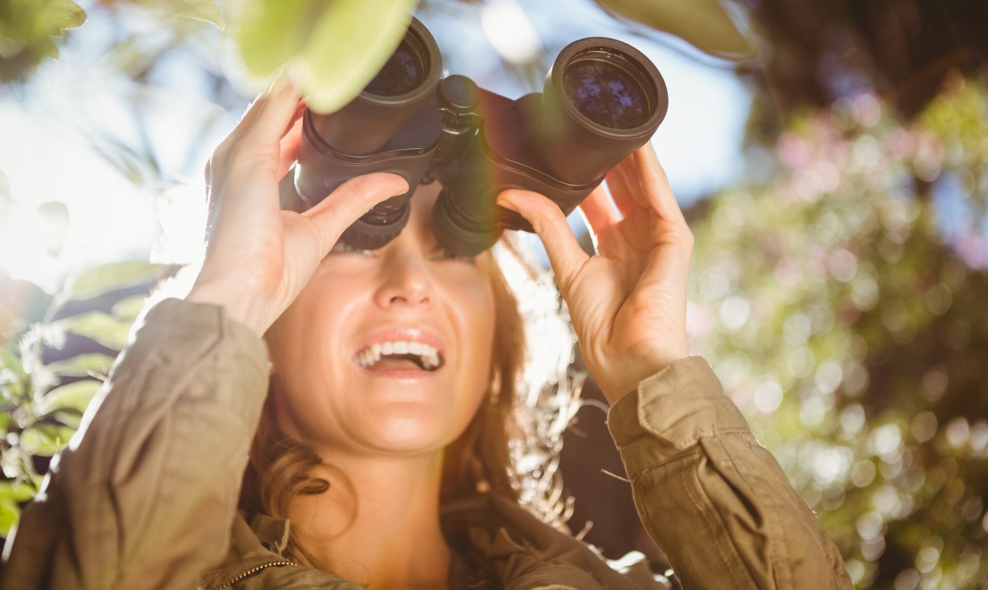 Introduction to the wild of Denmark – Wild About Denmark