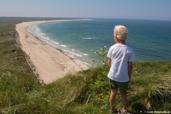 Introduction to the wild of Denmark - Wild About Denmark